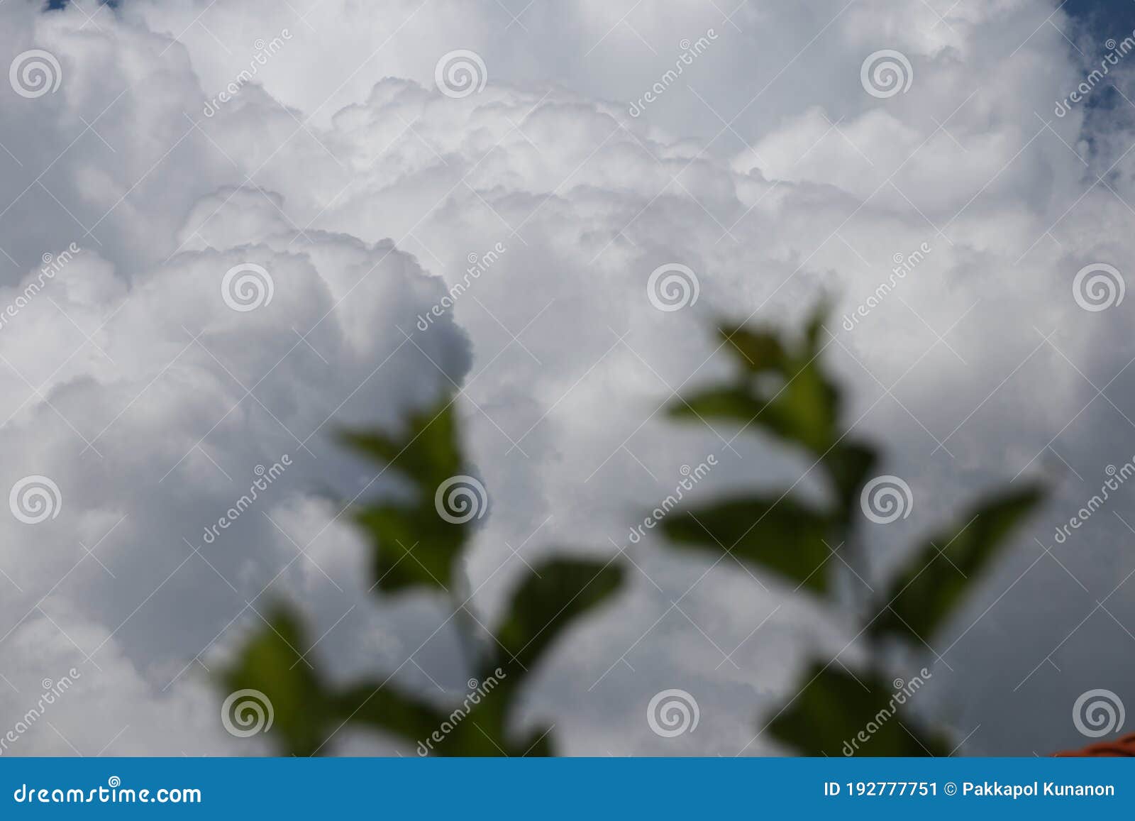White Cloud with Blurred Tree Stock Image - Image of meteorology ...