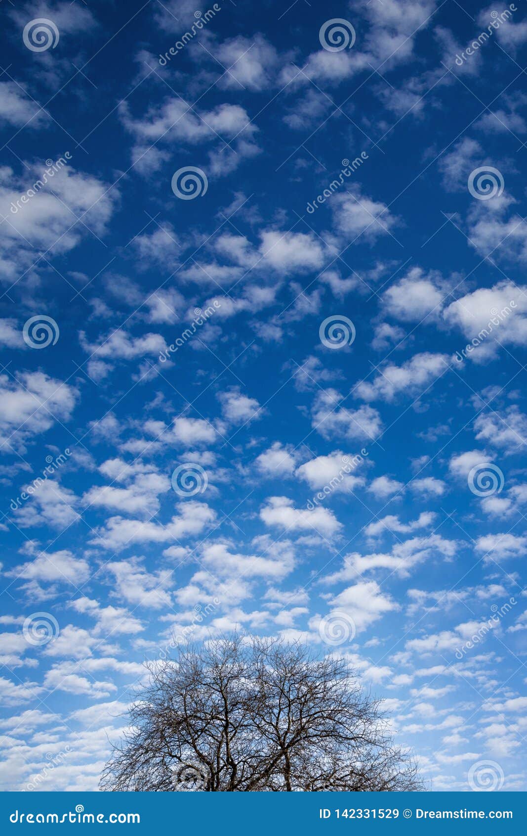 White Clouds in a Blue Sky Over a Tree Stock Image - Image of banner ...