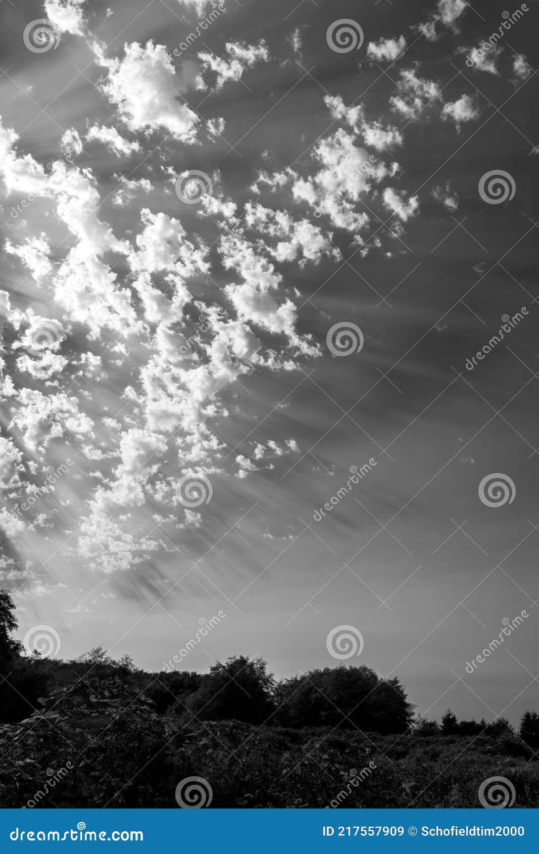 White Clouds Create Shadows in Smoke from Wildfires, Summer 2020 Stock ...