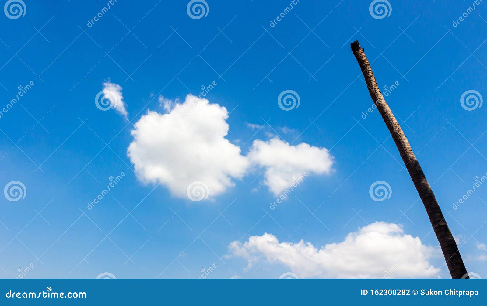 White Clouds and Dead Coconut Tree Stock Photo - Image of arid ...