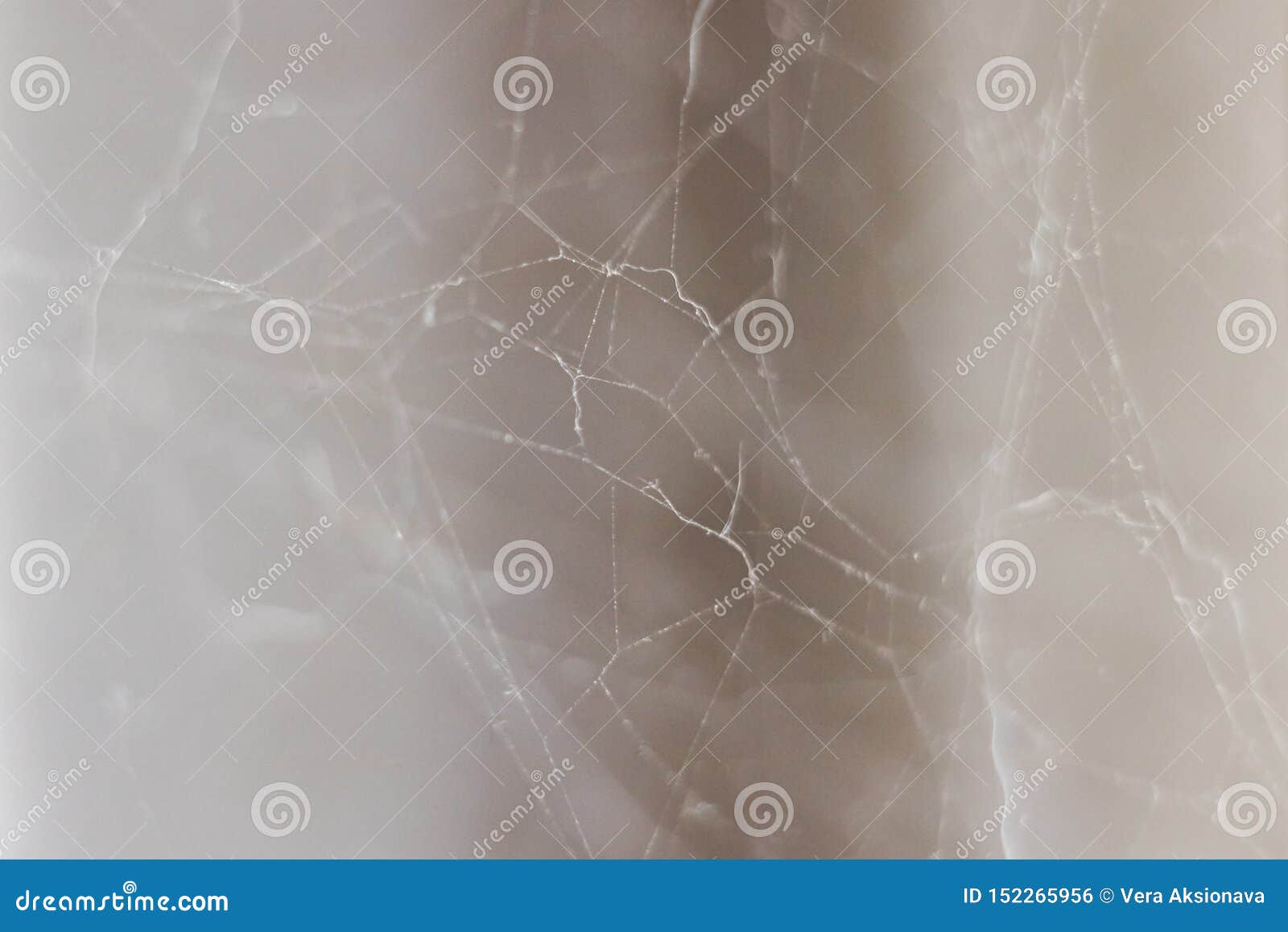 White Cobweb on a Gray Background Close Up Stock Photo - Image of ...