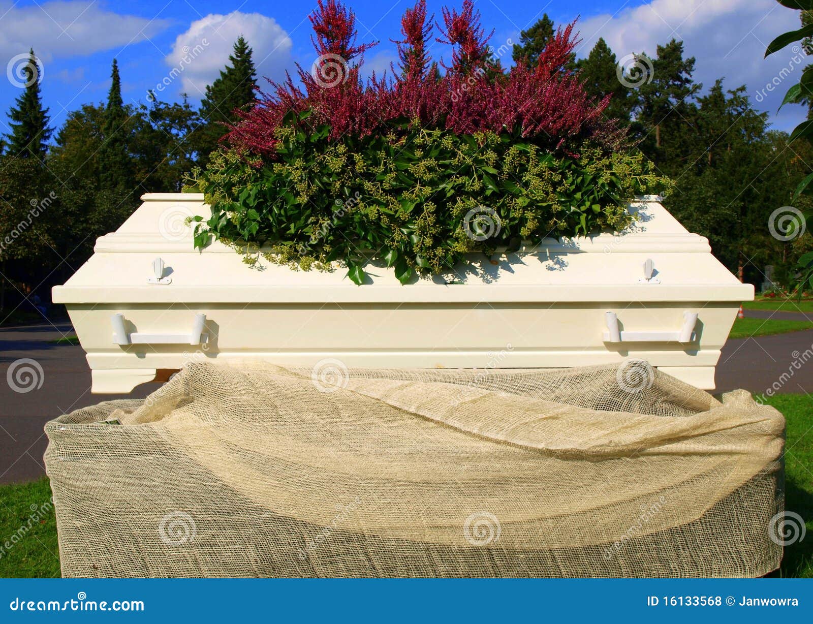 White coffin stock photo. Image of burial, cemetery, grave - 16133568