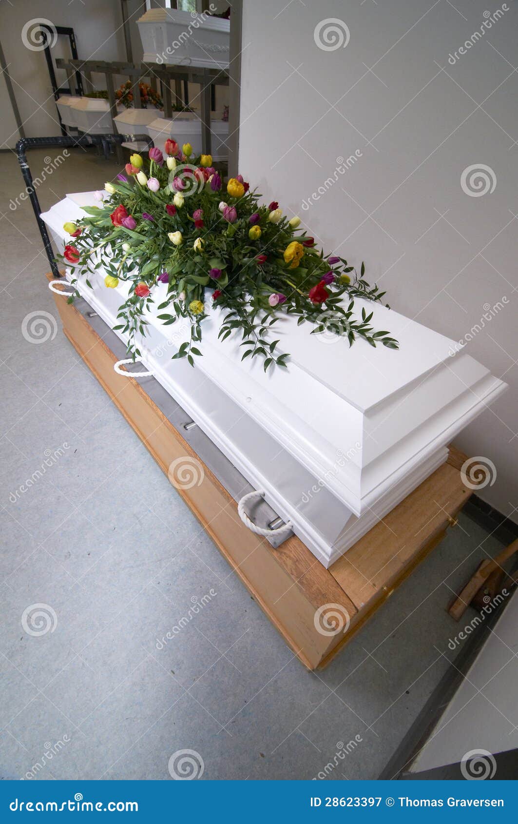 White coffin stock image. Image of coffin, mortuary, crematorium - 28623397