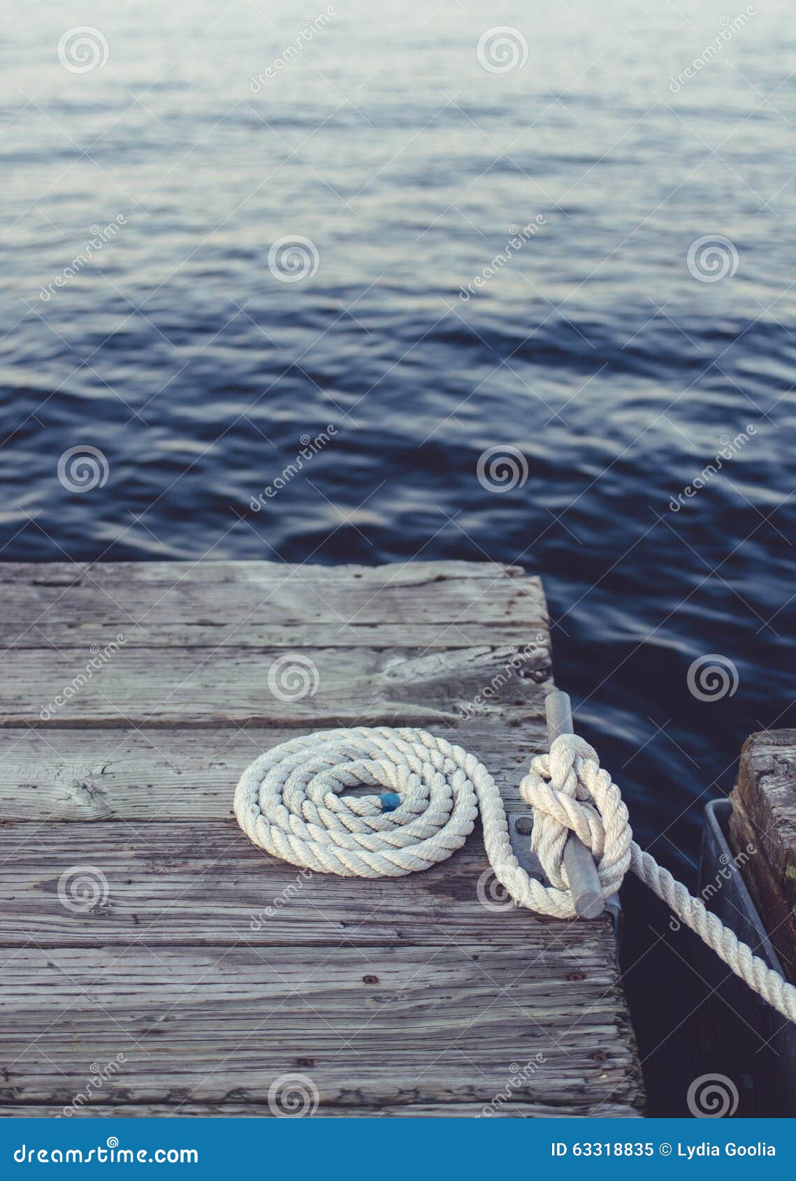 White coiled rope. stock image. Image of organized, tied - 63318835