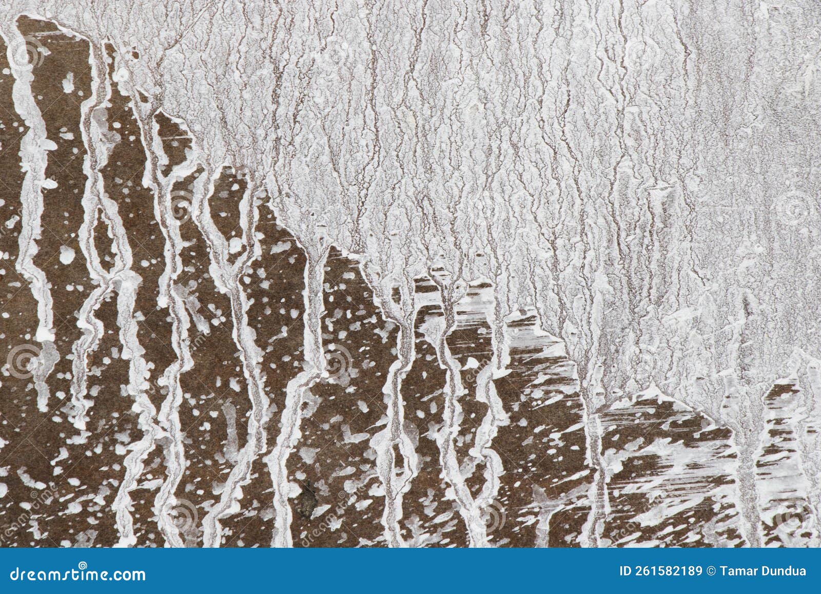 White Color Paint Texture and Background, Abstract Paint Stock Image ...