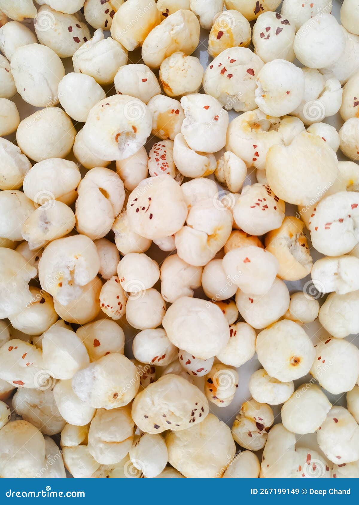White Color Popped Whole Fox Nut Stock Image - Image of closeup, indian ...