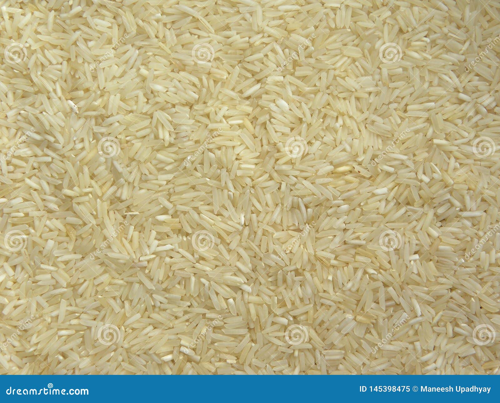 White Color Raw Basmati Rice Stock Image - Image of agriculture, food ...