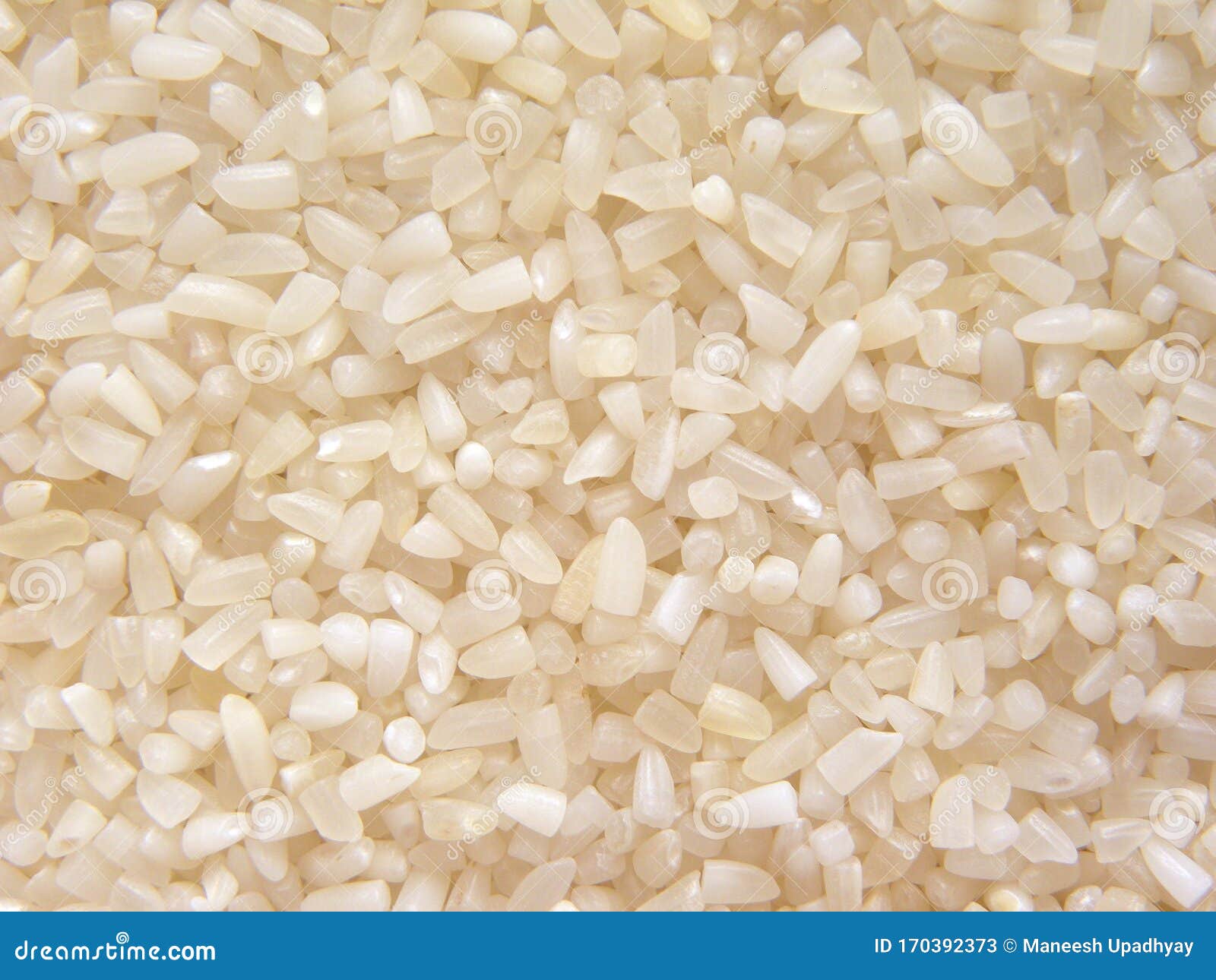 White broken rice stock image. Image of cooking, kernels - 170392373