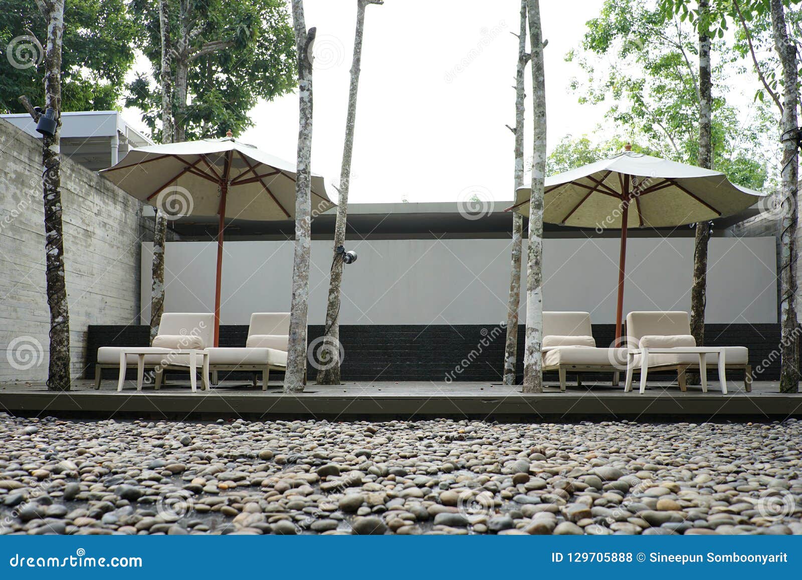 White Color Reclining Chairs with White Parasol on the Timber De Stock ...