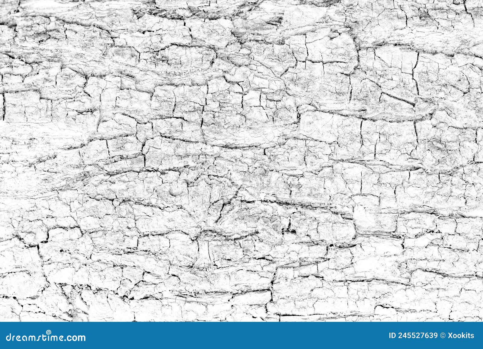 The Rugged Old Tree Stock Photography | CartoonDealer.com #39047642