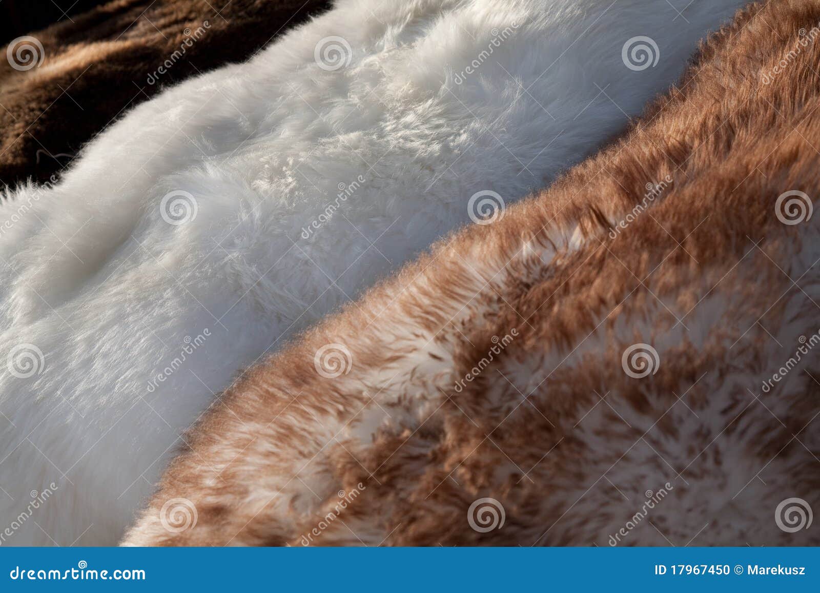 White and Colored Fur of Sheep at the Market Stock Photo - Image of ...