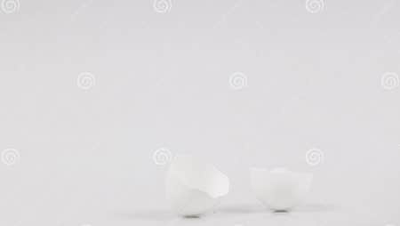 White colour egg shell stock image. Image of nature - 108087643