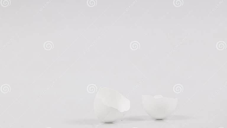 White colour egg shell stock image. Image of nature - 108087643
