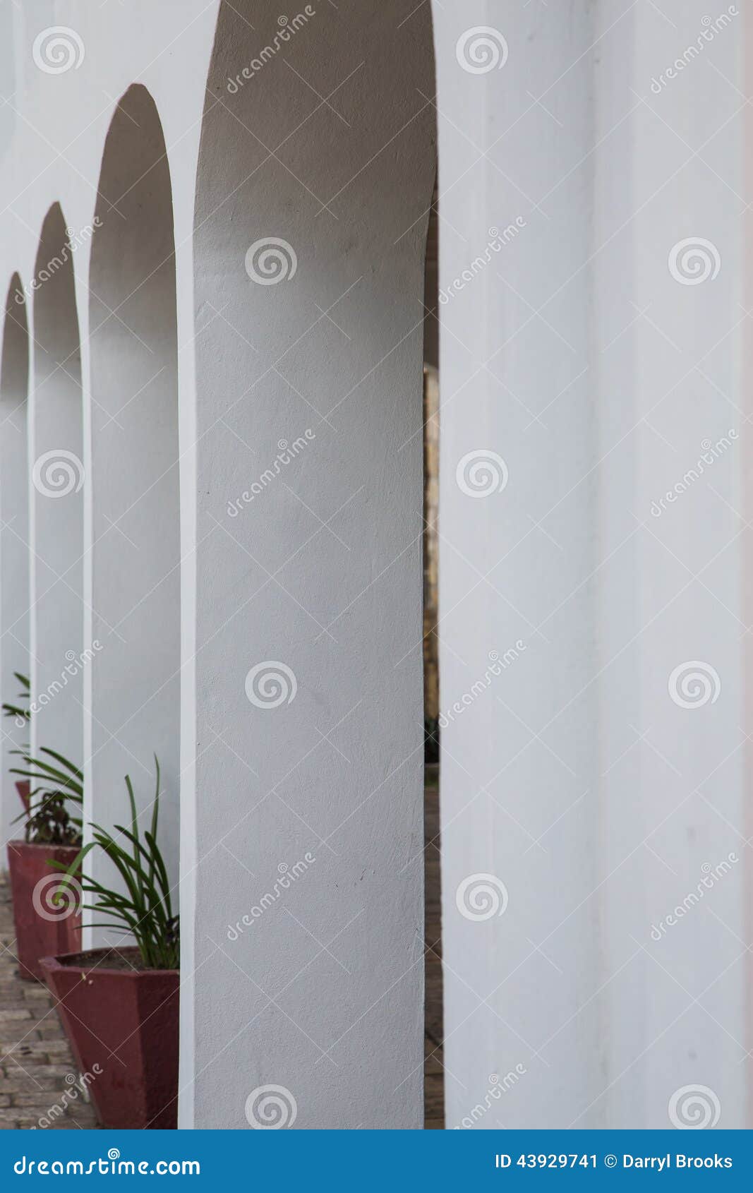 White Columns and Green Plants Stock Image - Image of background ...