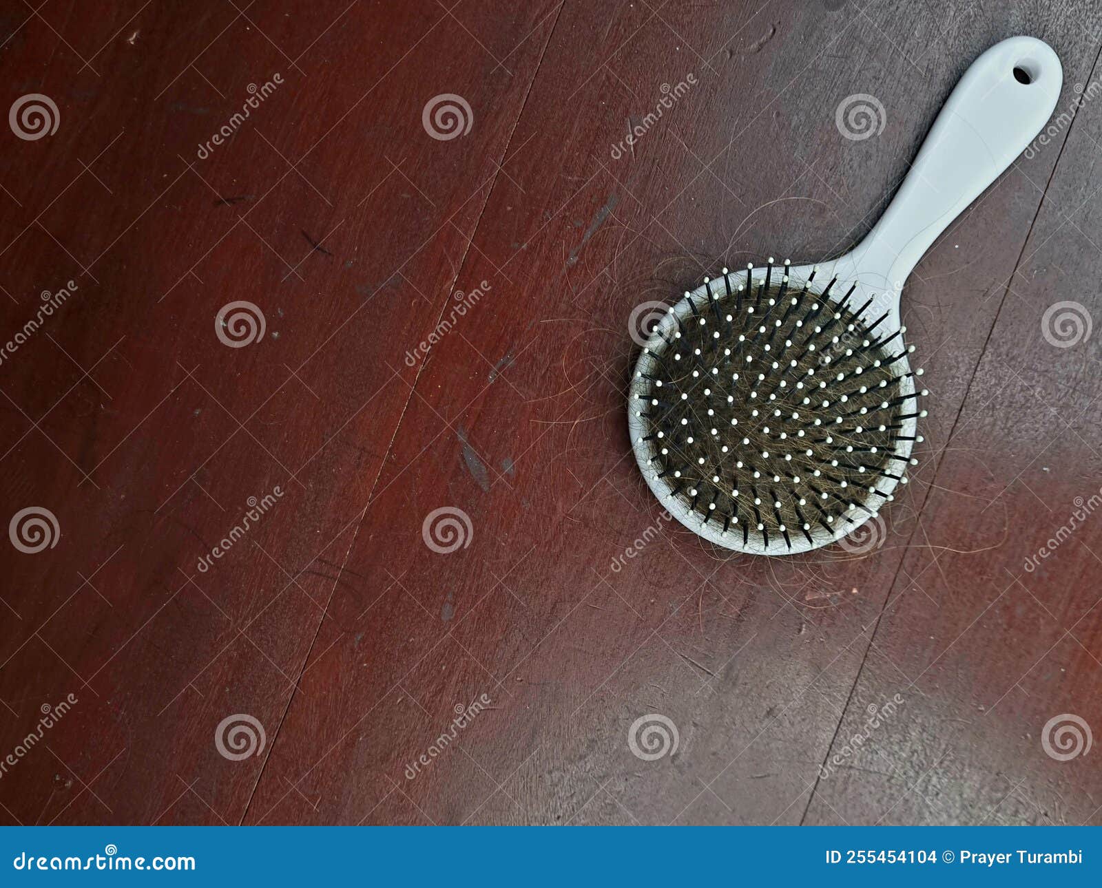 A white comb full of hair stock photo. Image of pattern - 255454104