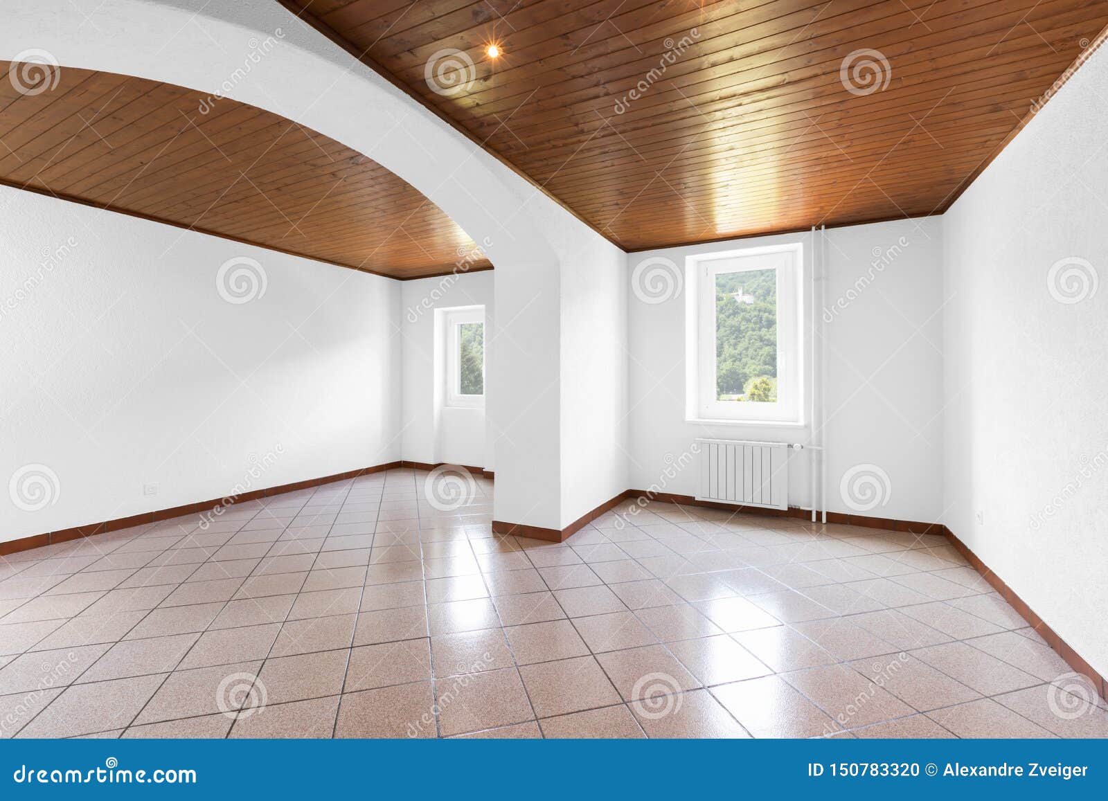 White and Completely Empty Room with Wood on the Ceiling Stock Photo ...