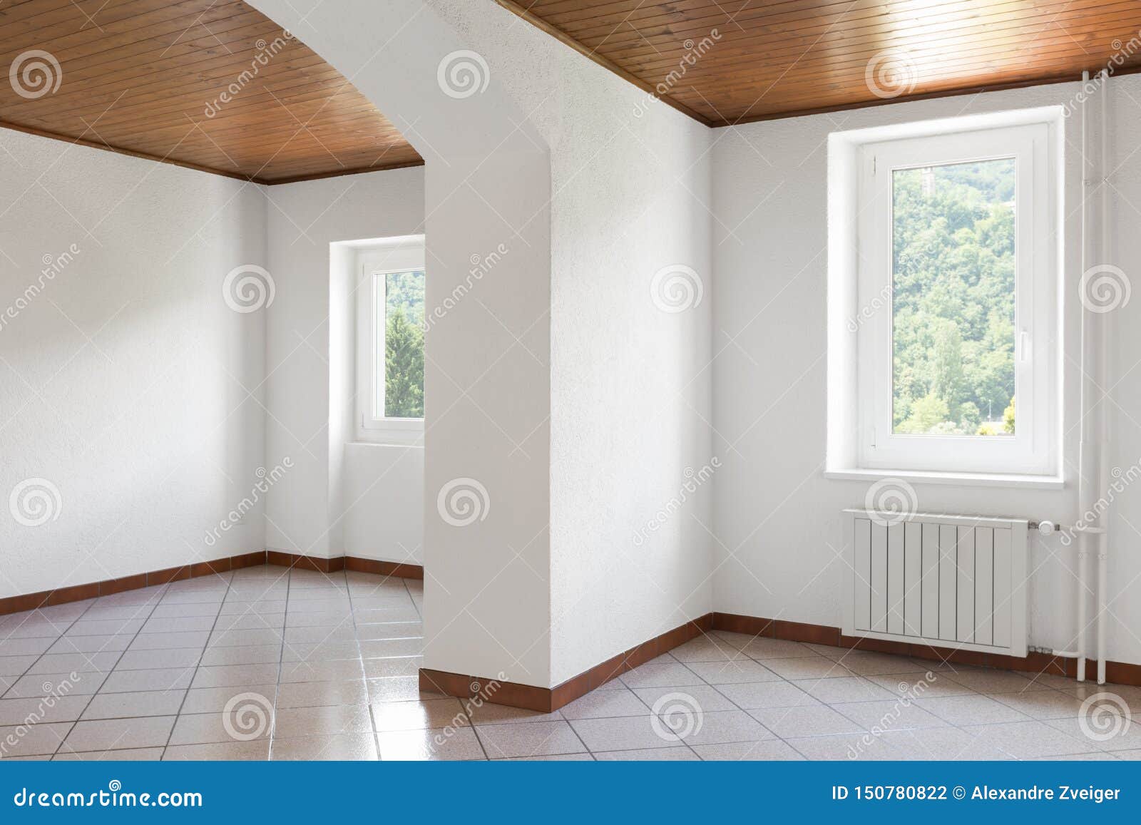 White and Completely Empty Room with Wood on the Ceiling Stock Photo ...