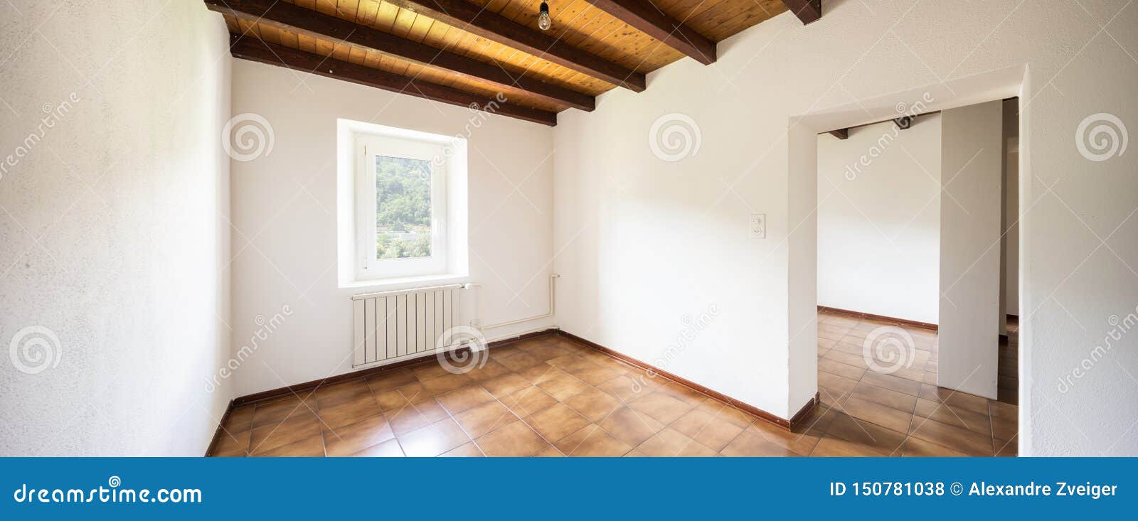 White and Completely Empty Room with Wood on the Ceiling Stock Photo ...