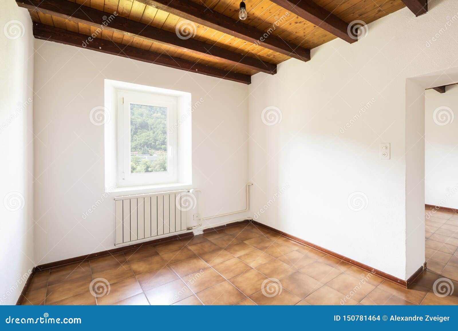 White and Completely Empty Room with Wood on the Ceiling Stock Photo ...