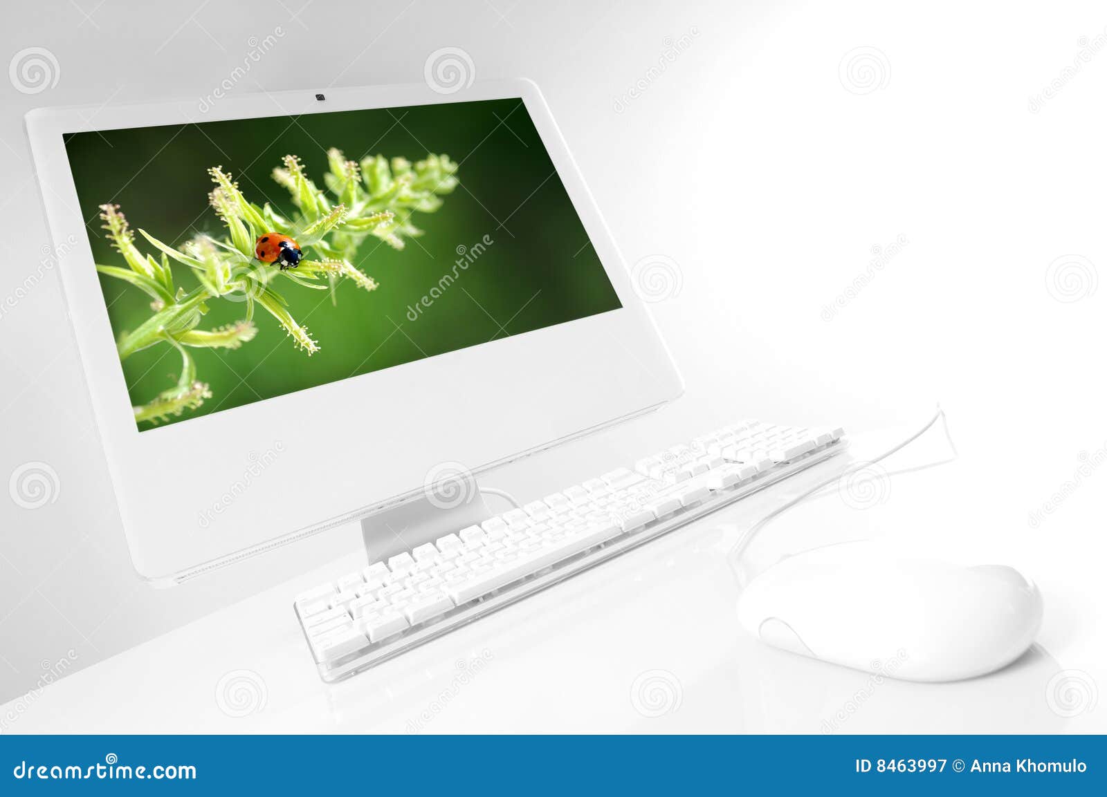 White computer stock image. Image of nature, keyboard - 8463997