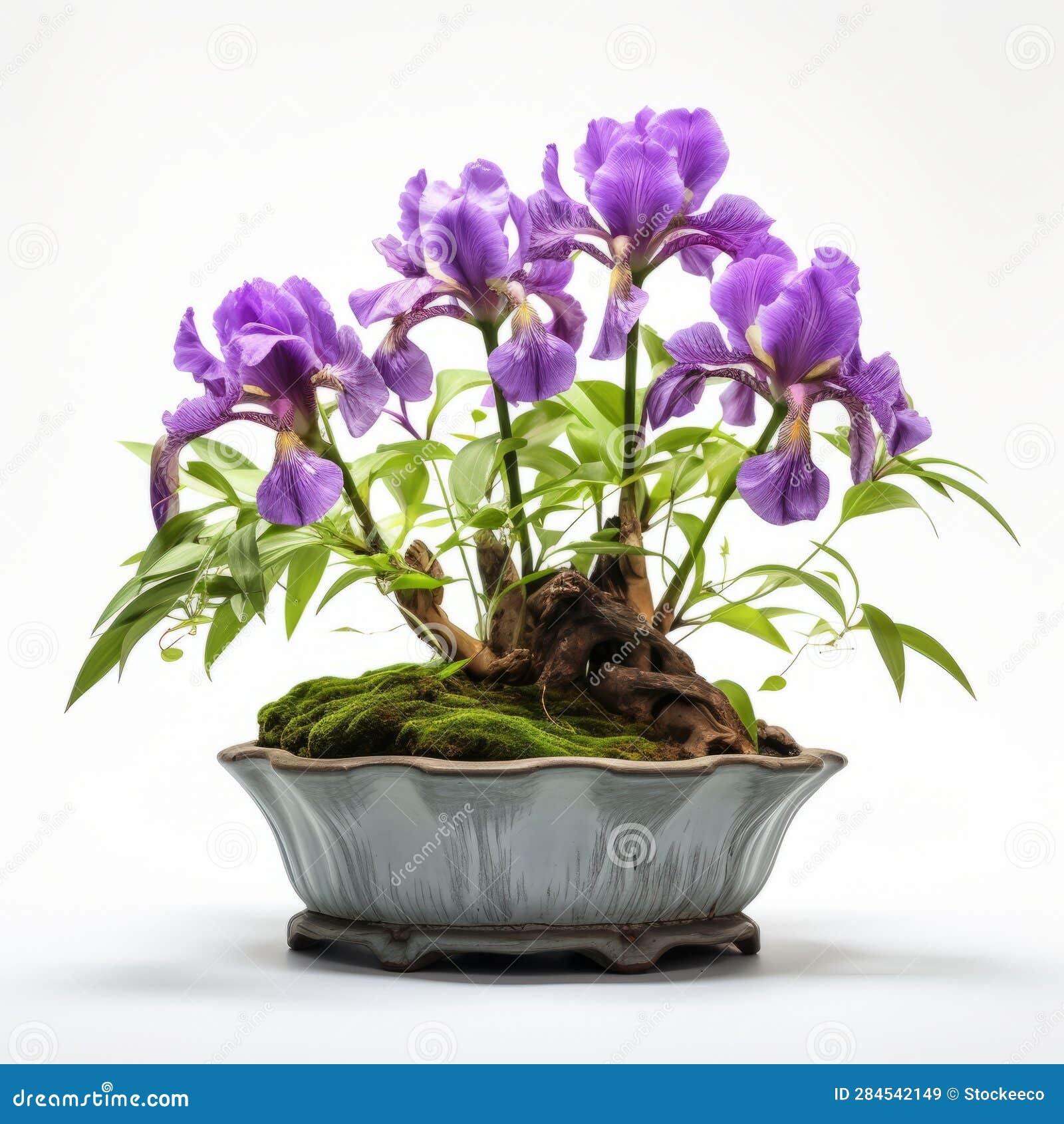Bonsai Irises: Captivating Artistry In The Style Of John Wilhelm Stock ...