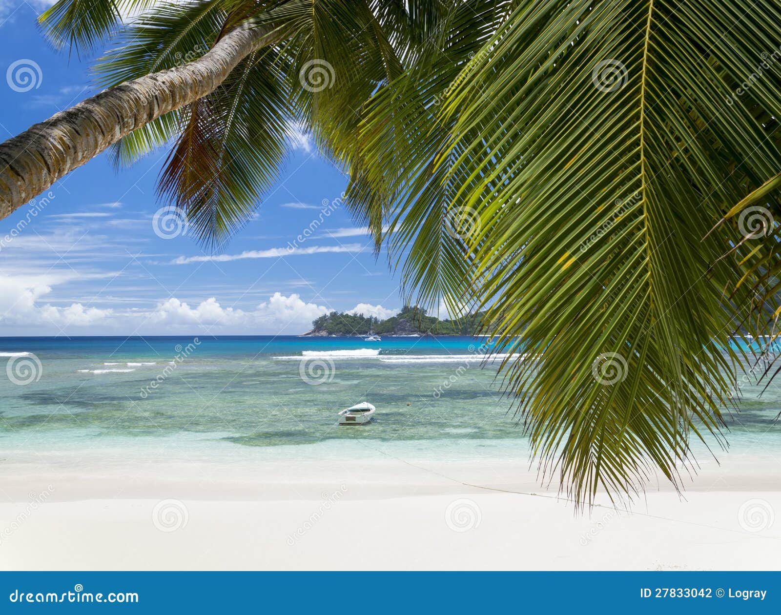 Coral Beach Background Texture Stock Photography | CartoonDealer.com ...