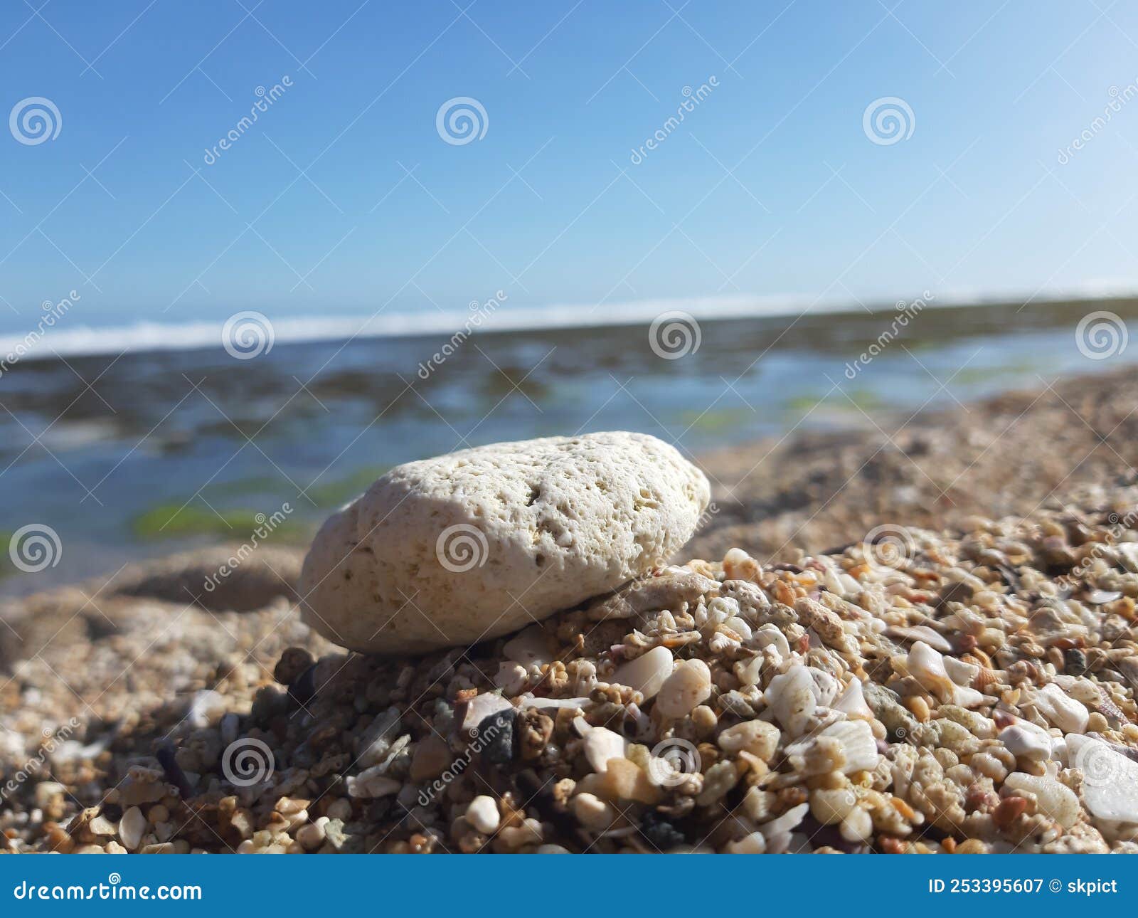 White Coral and Some Colorful Shells on the Beach Stock Image - Image ...