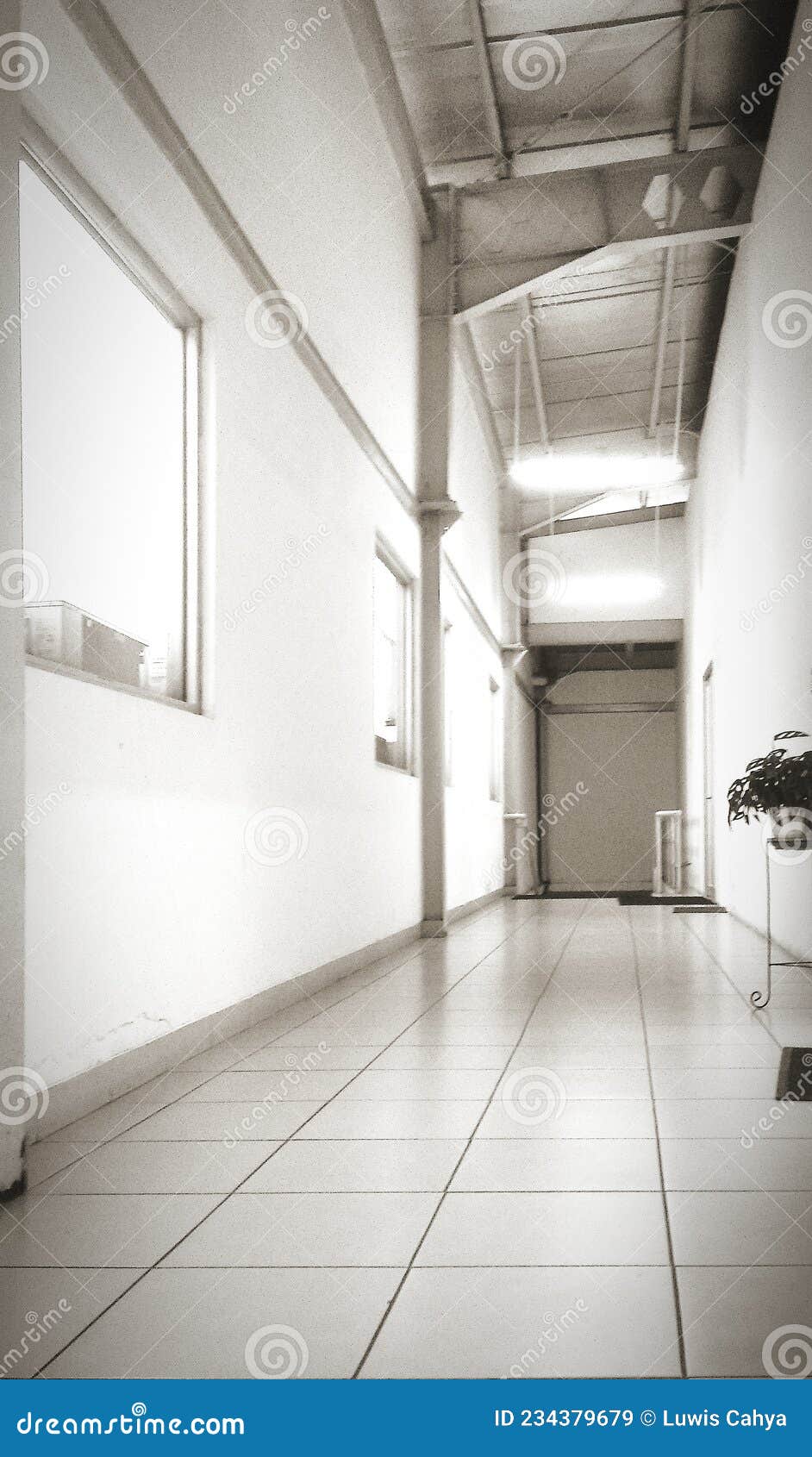 The white coridor stock image. Image of design, monochrome - 234379679