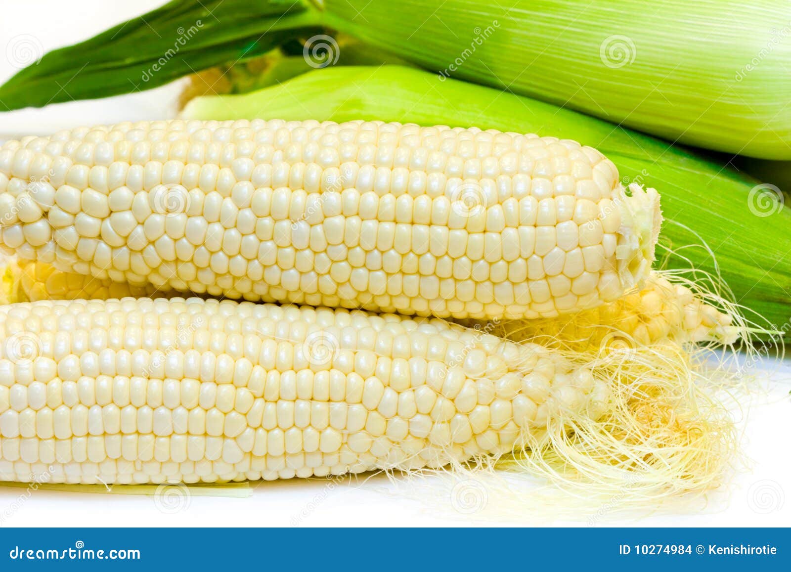 White corn stock photo. Image of harvest, freshness, organic - 10274984