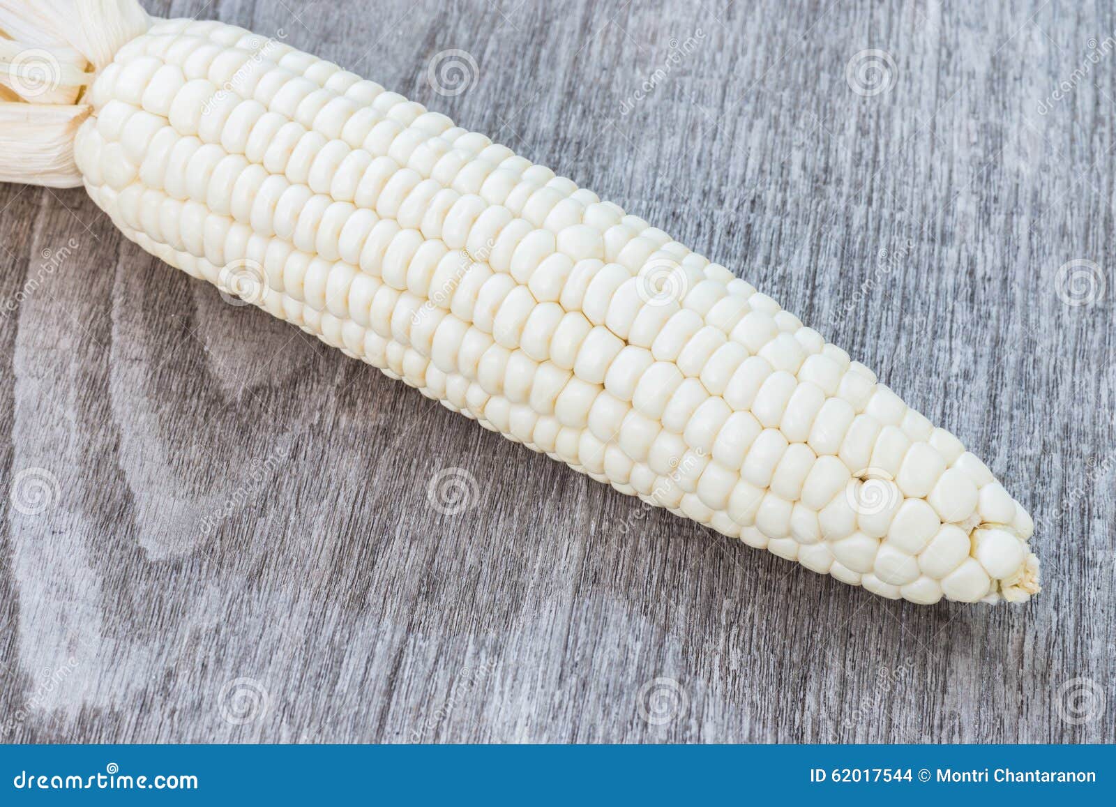 White corn stock photo. Image of sweetcorn, agriculture - 62017544