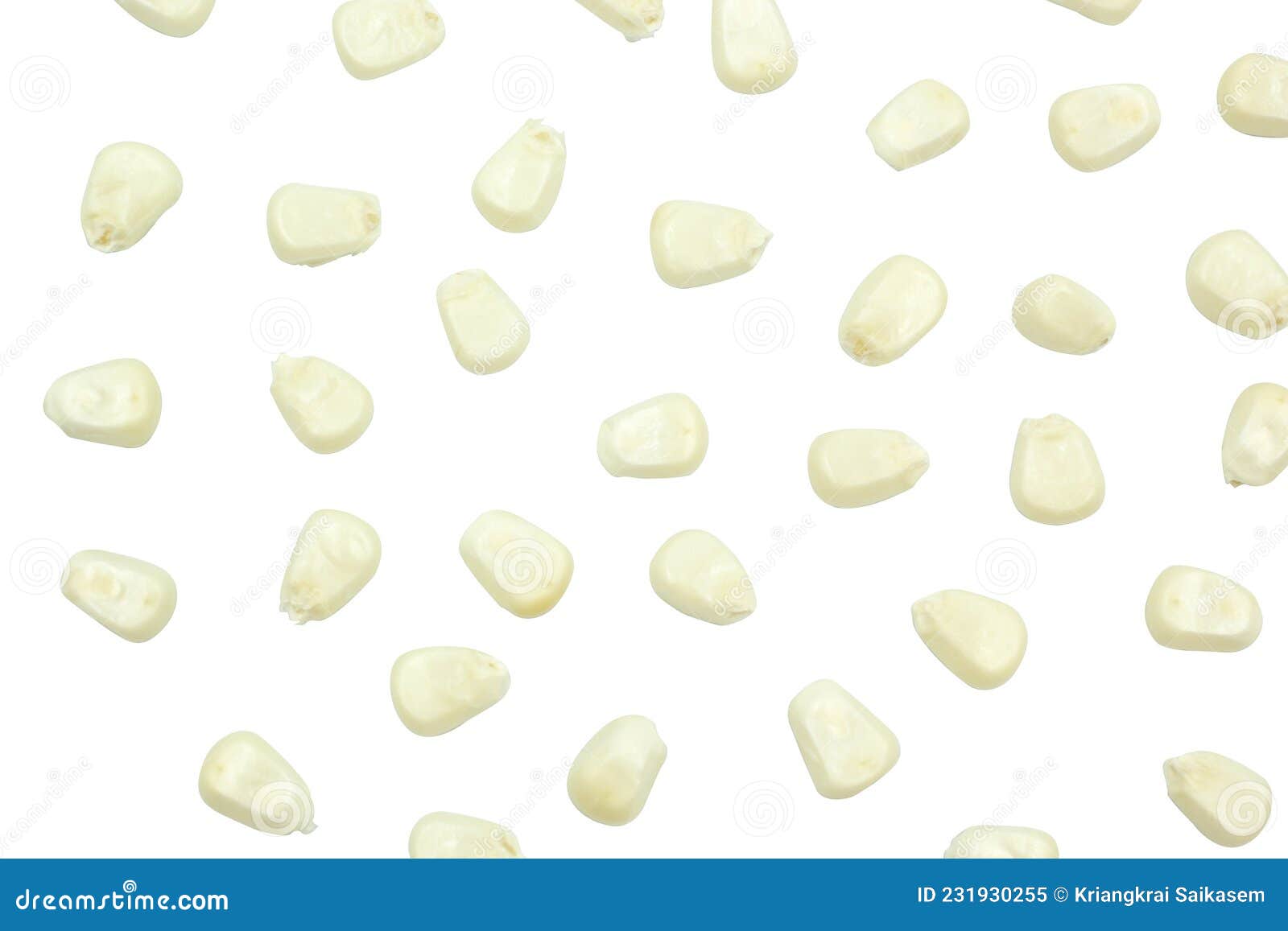 Corn Seeds Vector Cartoon Flat Illustration Isolated On White ...