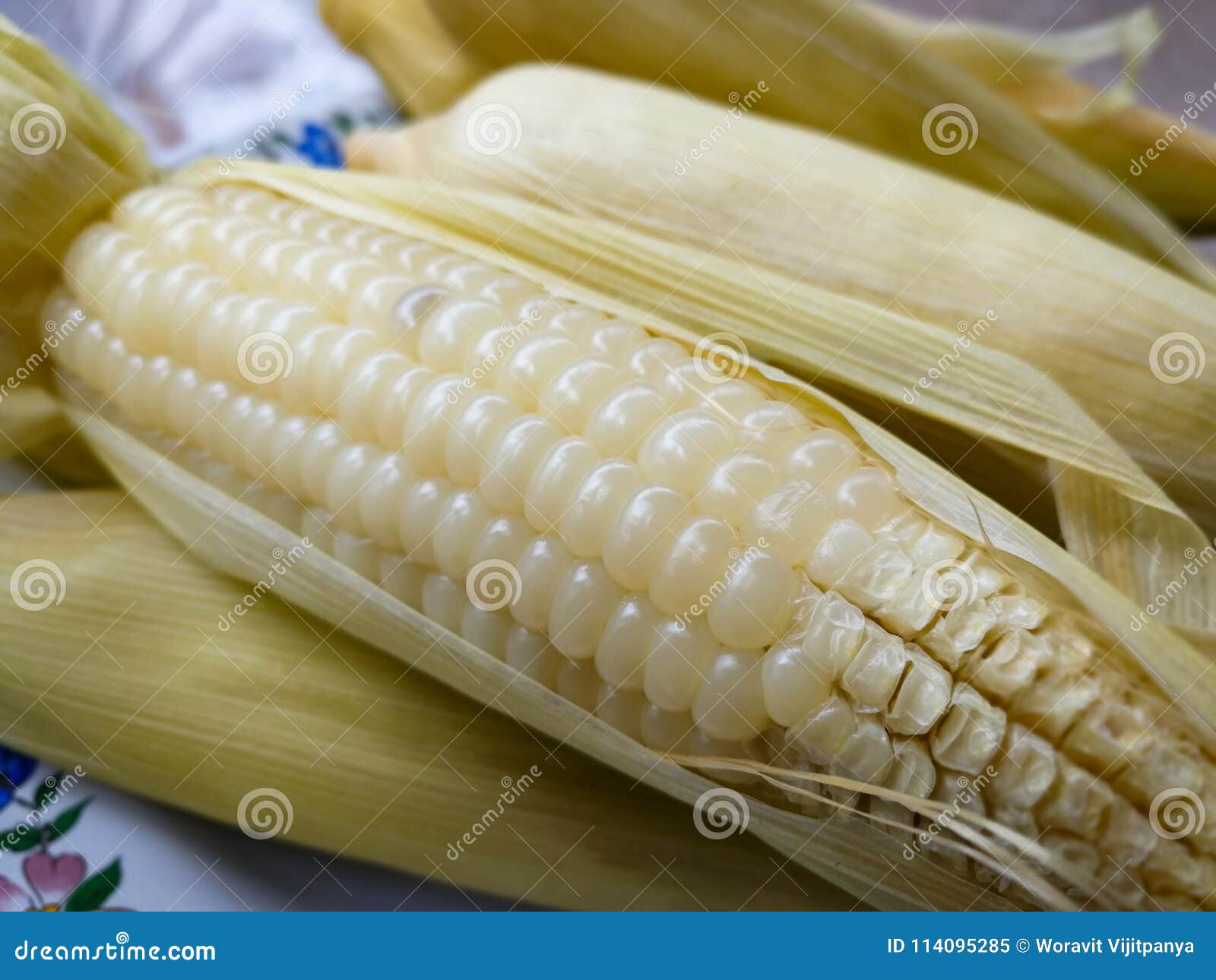 White corn stock image. Image of detail, gold, husk - 114095285