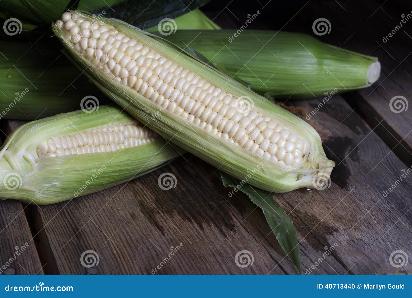 White Corn Wood Surface stock photo. Image of gould, rustic - 40713440