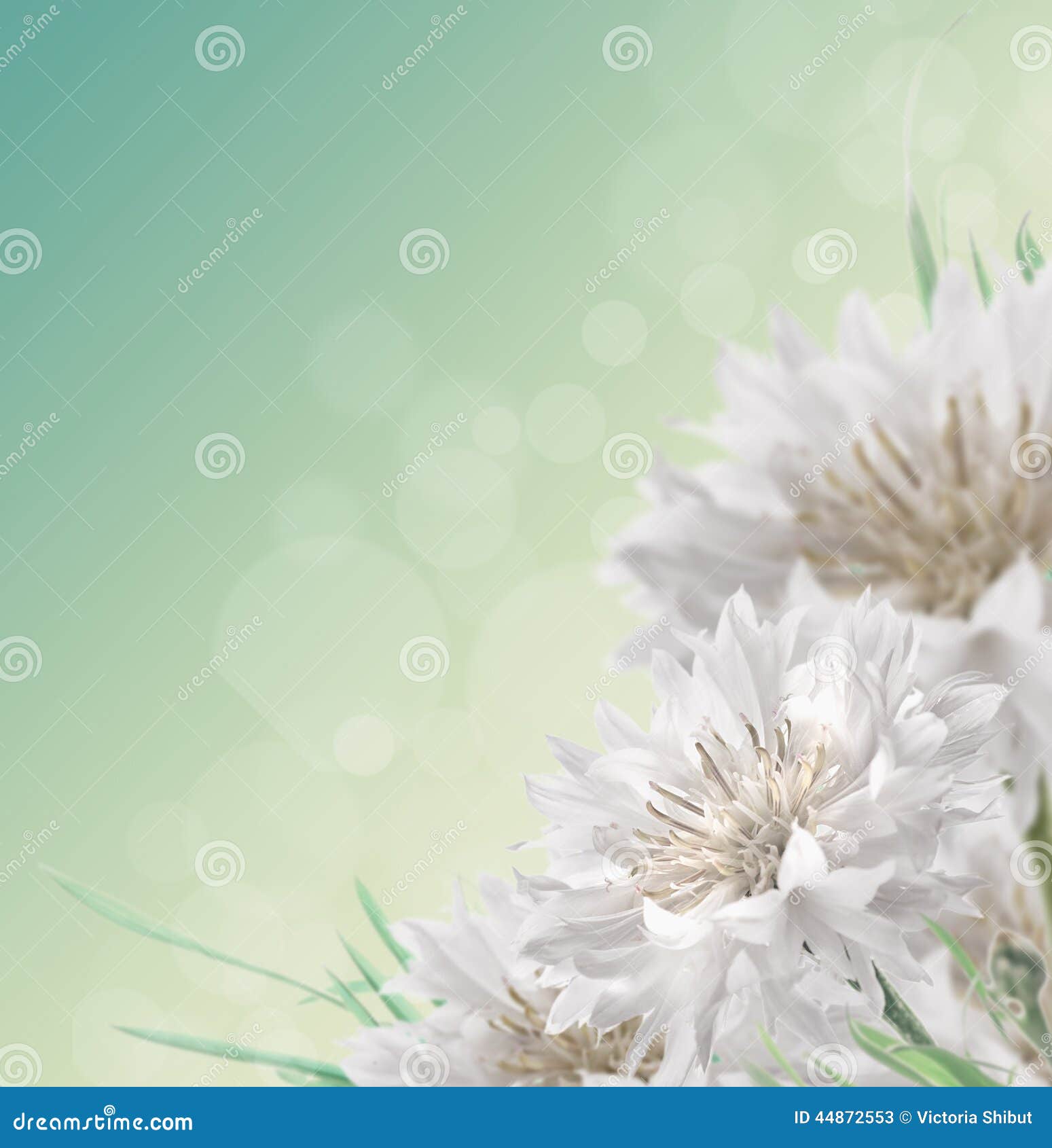 2,385 Boke Flower Stock Photos - Free & Royalty-Free Stock Photos from ...