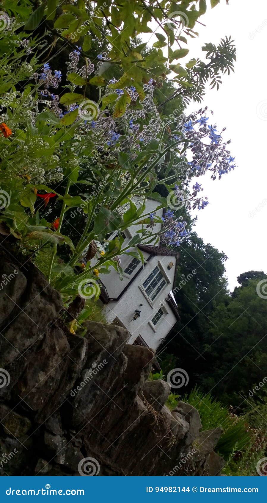 White cottage with flowers stock photo. Image of cottage - 94982144