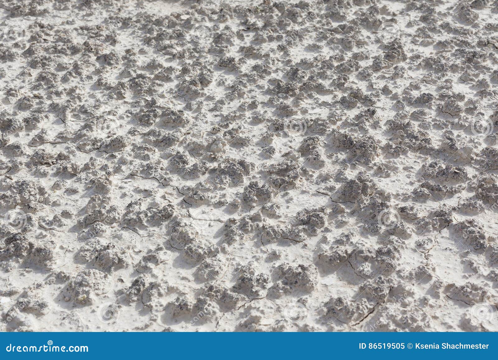 White Cracked Lumpy Soil from Side Stock Image - Image of desert, soil ...