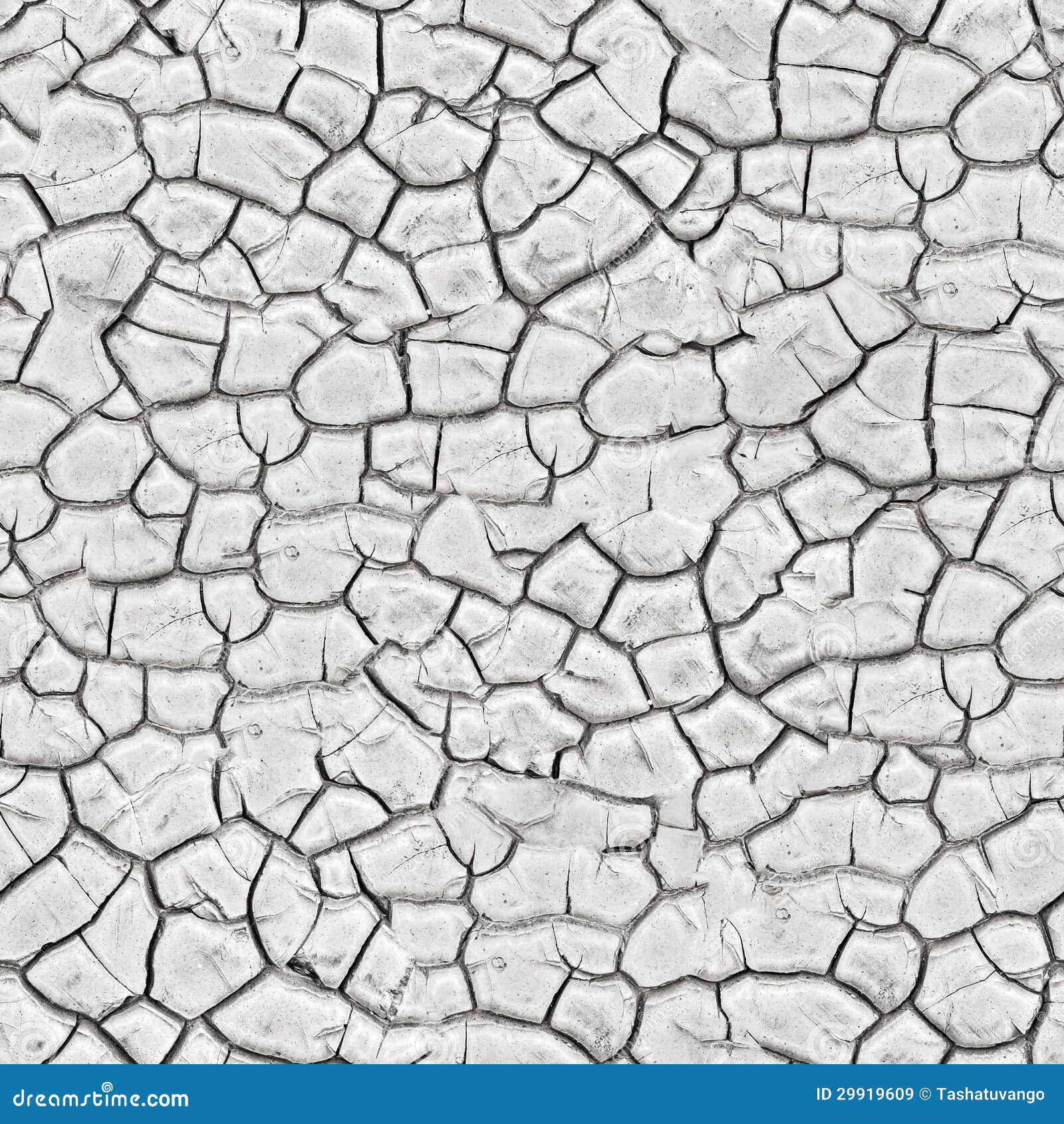 White Cracked Surface Seamless Texture. Stock Image - Image of material ...