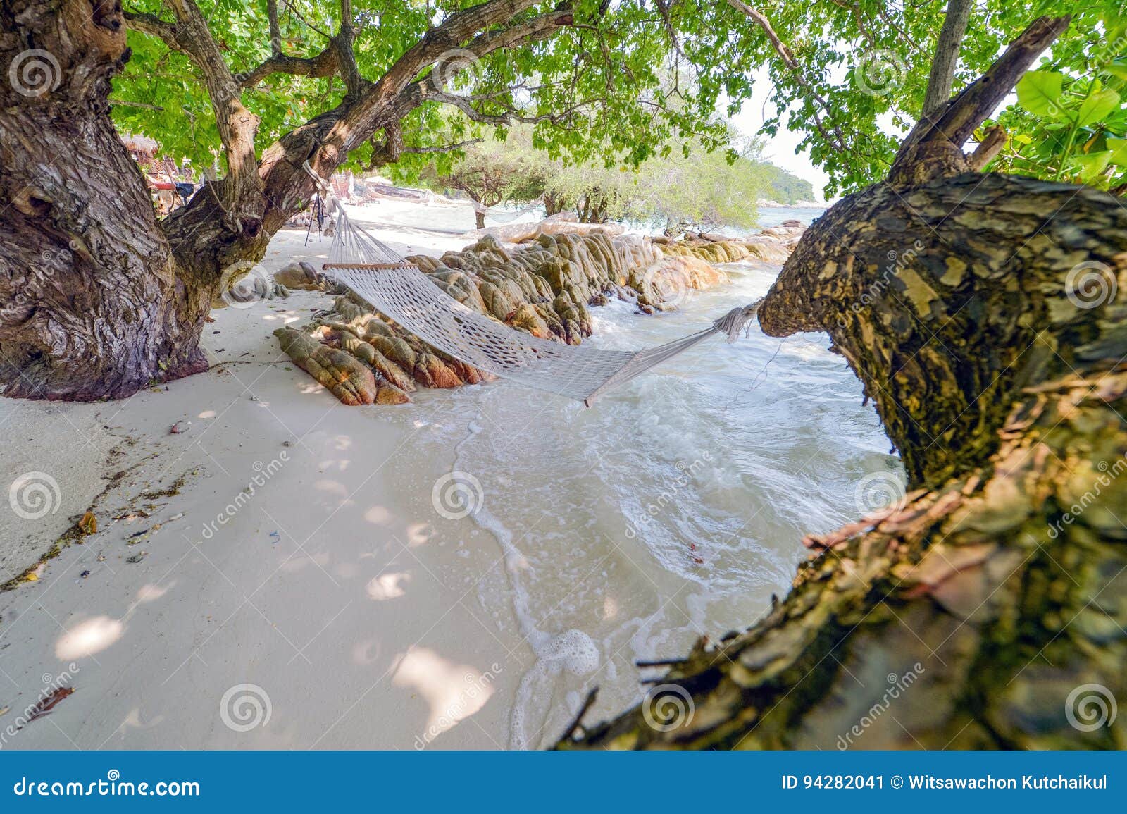 White Cradle Tied Beach Beach Tree Stock Image - Image of crib, travel ...