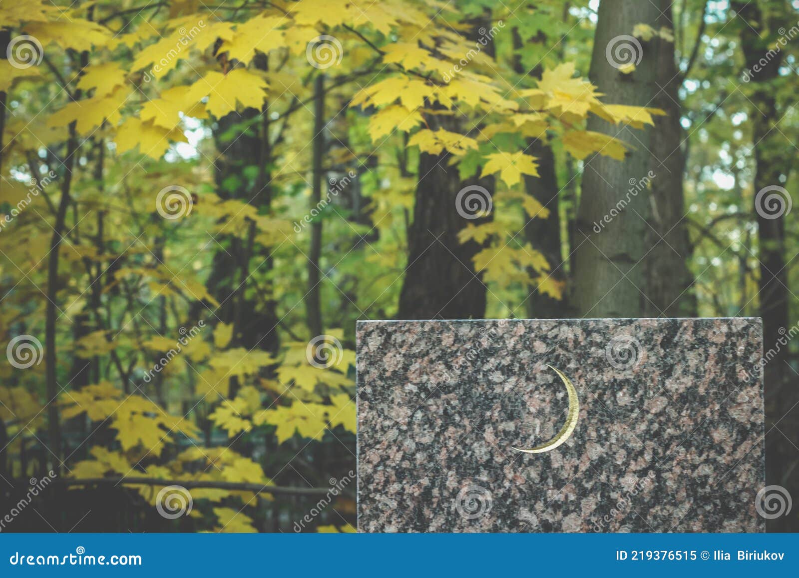 White Crescent Moon Symbol On The Grave Rectangular Granite Slab ...