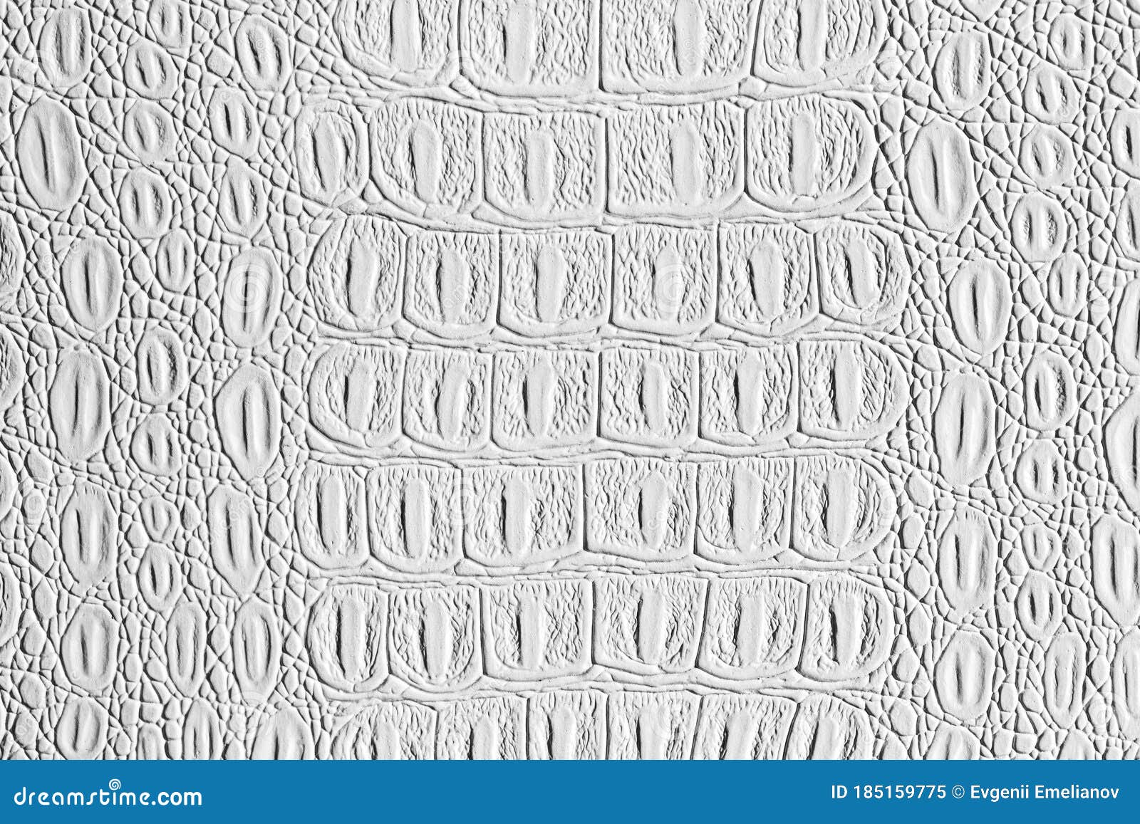 White Crocodile Leather Texture. Abstract Background for Design with ...