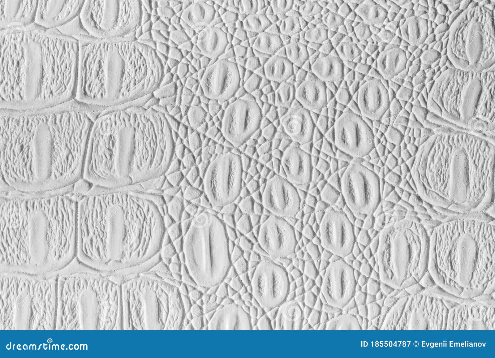 White Crocodile Leather Texture Stock Image - Image of lizard, luxury ...