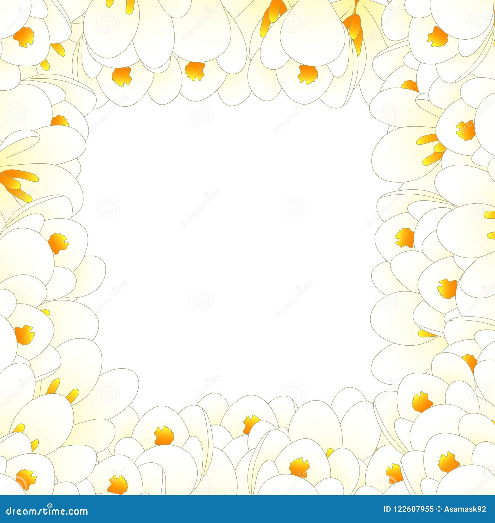 White Crocus Flower Border. Vector Illustration Stock Vector ...