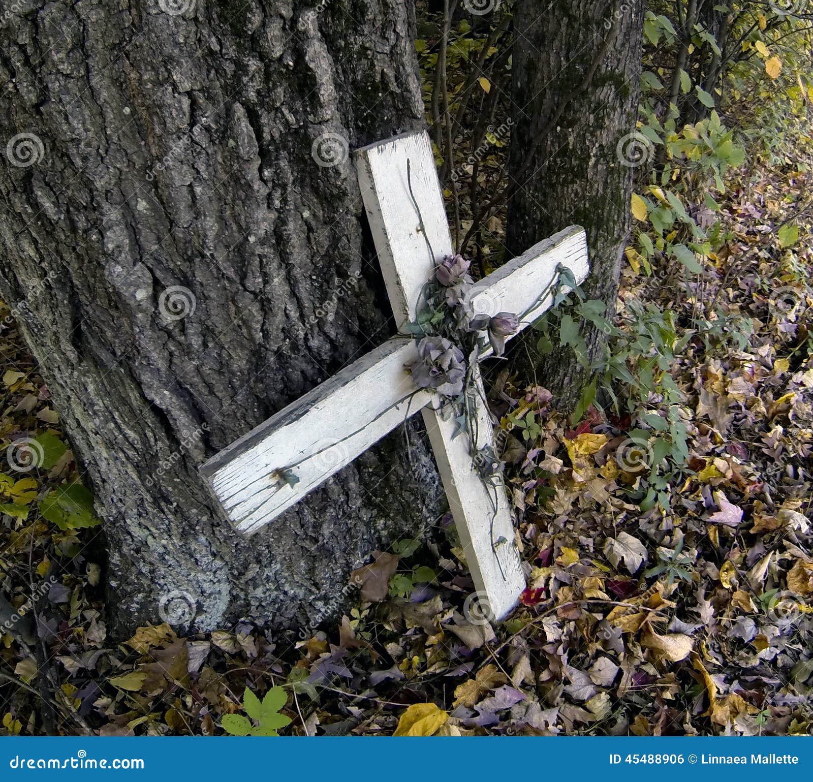 White cross and tree stock photo. Image of grief, surrounded - 45488906