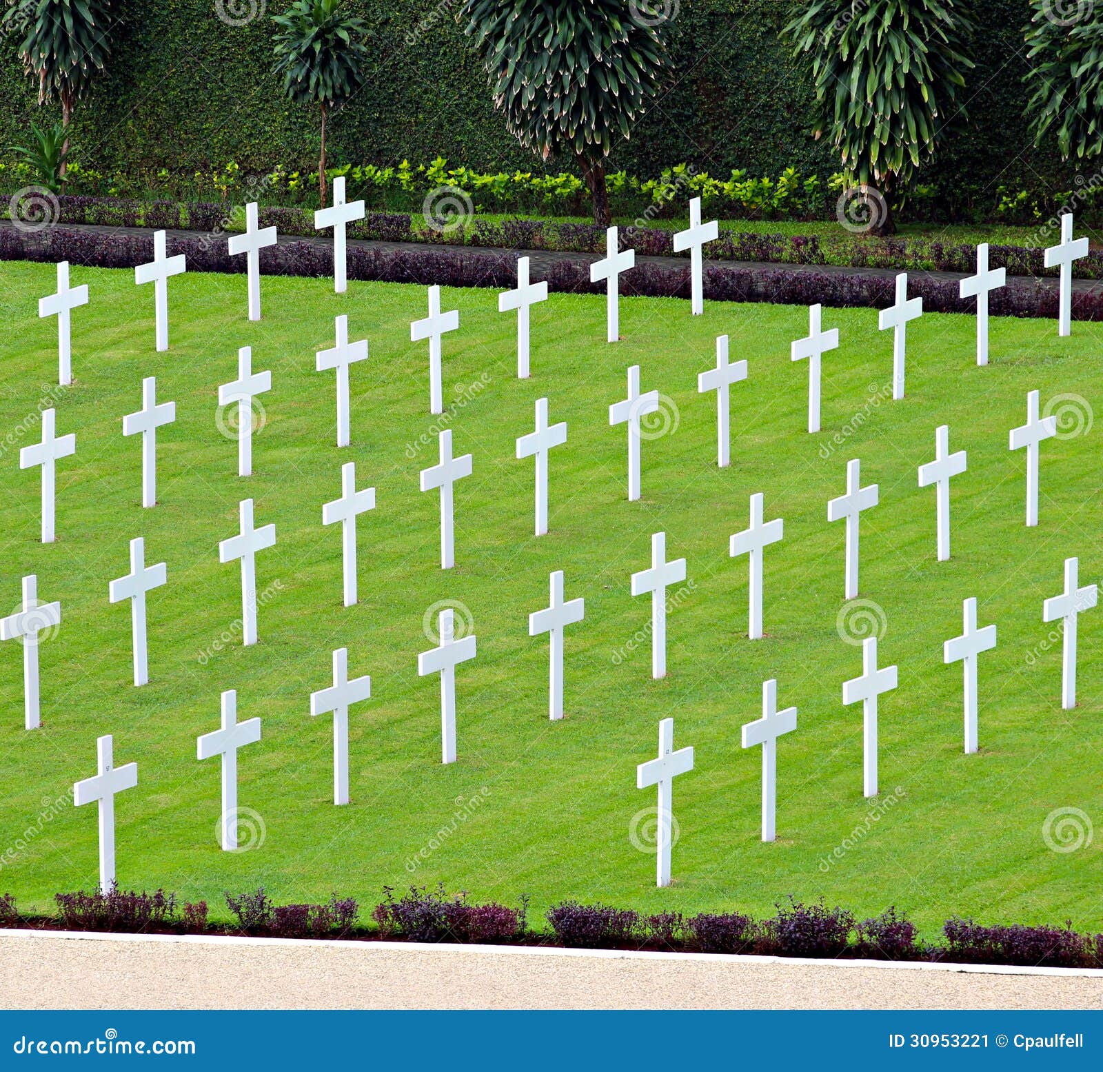White crosses stock image. Image of dead, memorial, burial - 30953221
