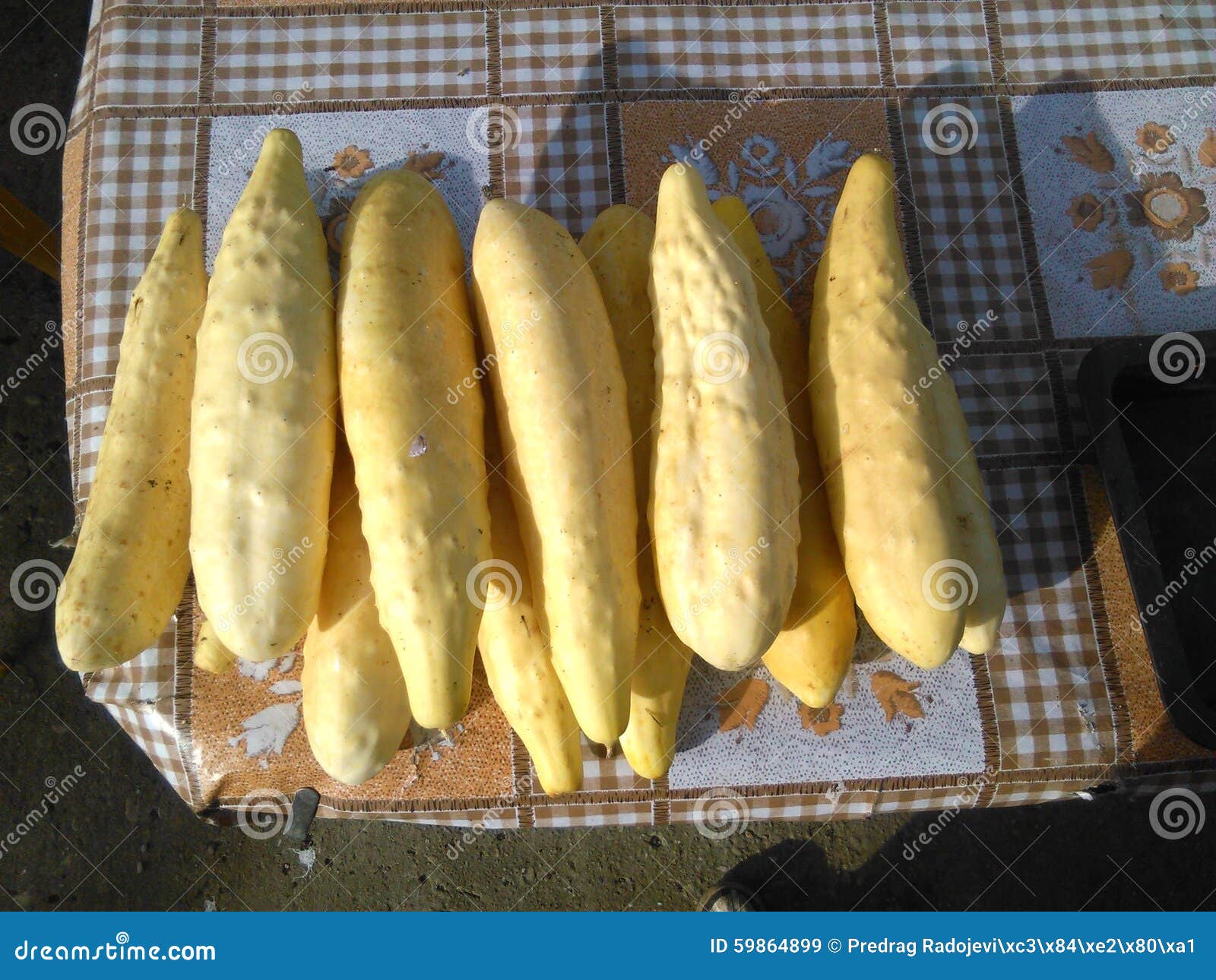 White cucumbers stock image. Image of organic, picked - 59864899