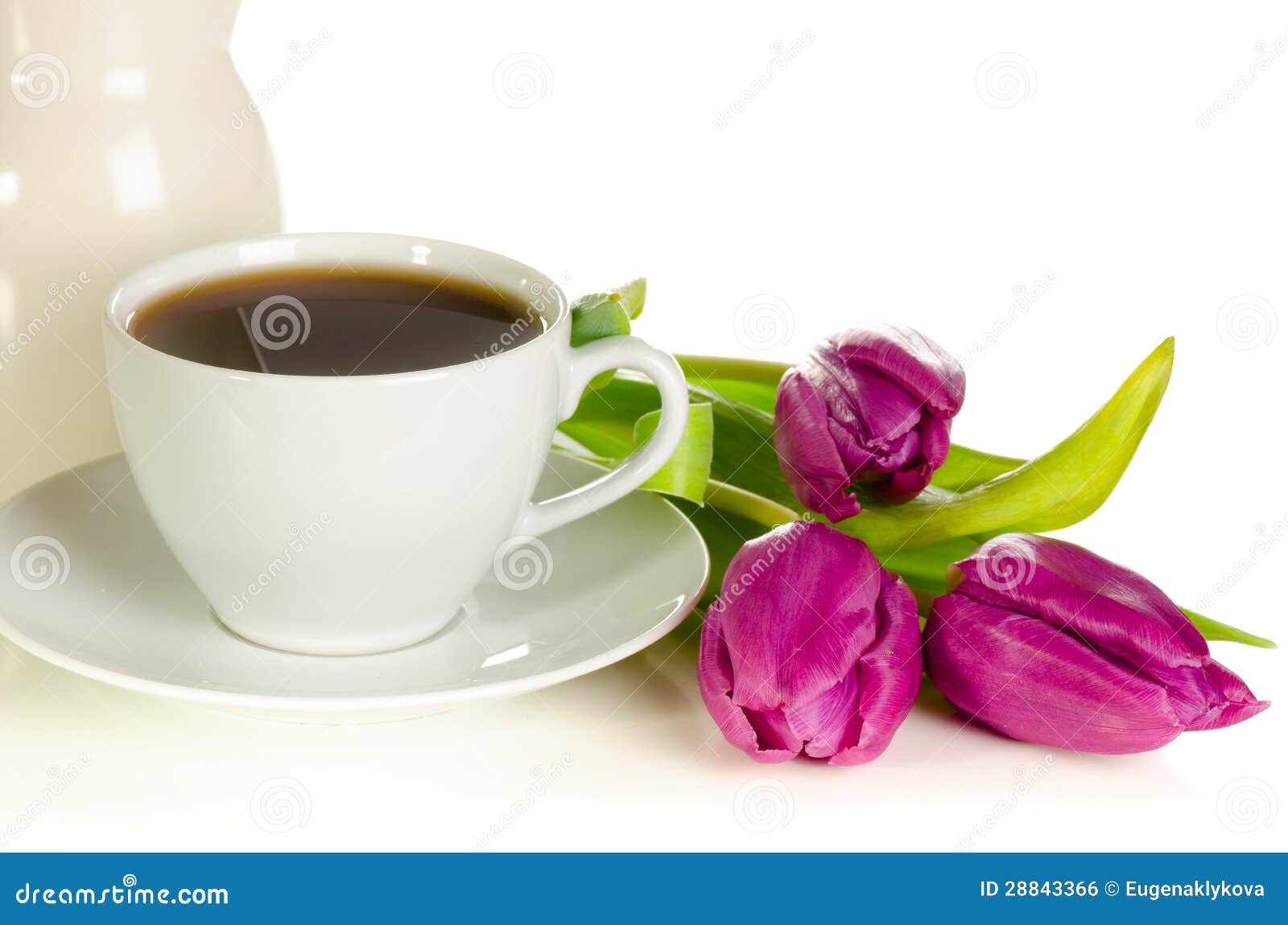 White Cup of Coffee with Bunch of Purple Tulips on White Background ...