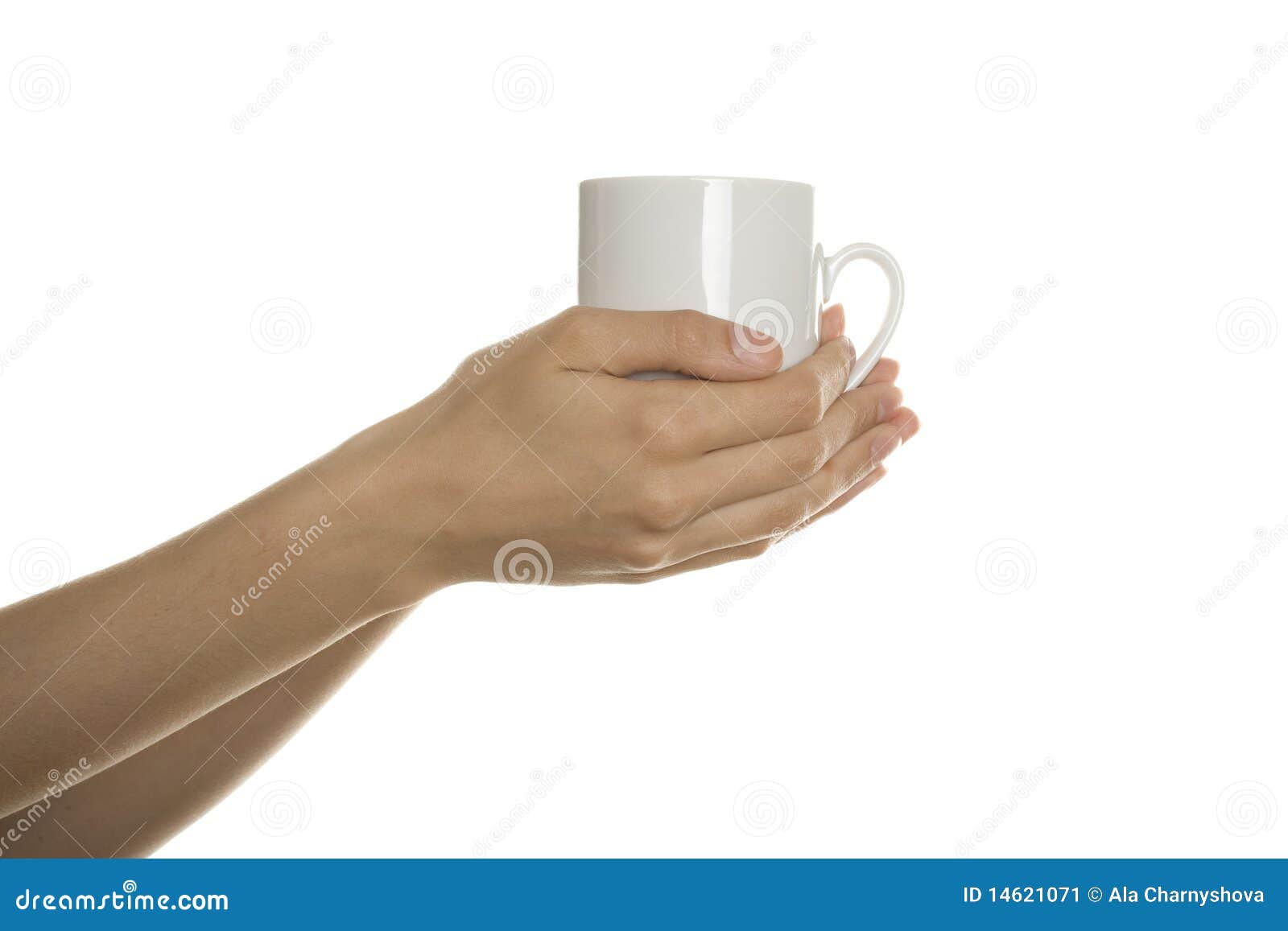 White Cup in the Female Hands Stock Image - Image of ceramics, coffee ...