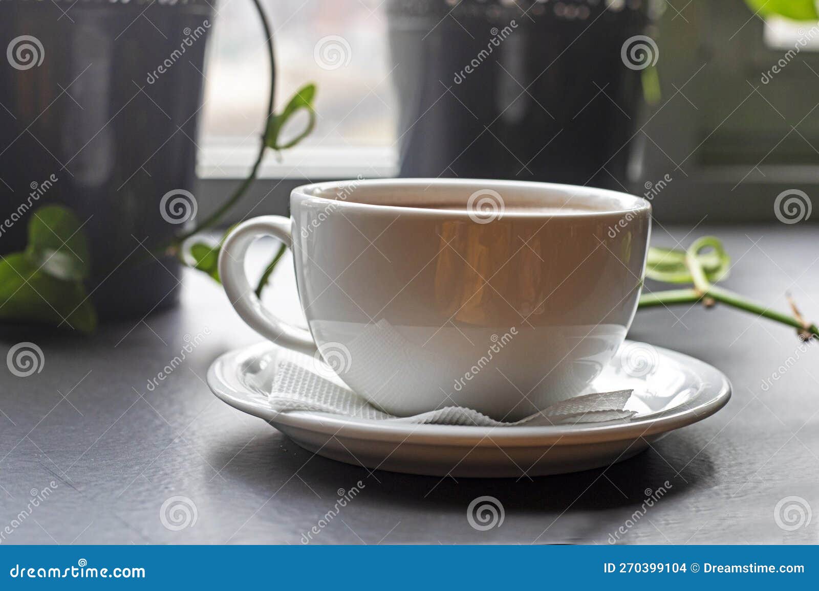White Cup with Hot Coffee Latte on the Windowsill with Green Ivy ...