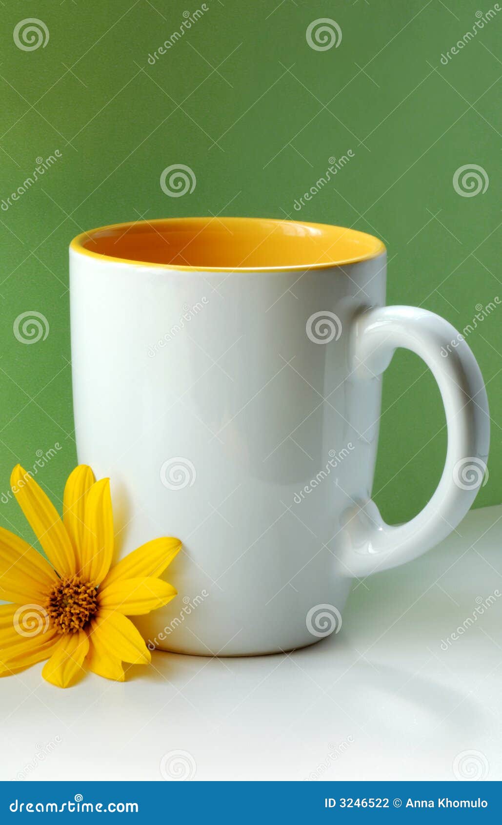 White Cup & Yellow Flower Stock Photo - Image of herb, white: 3246522