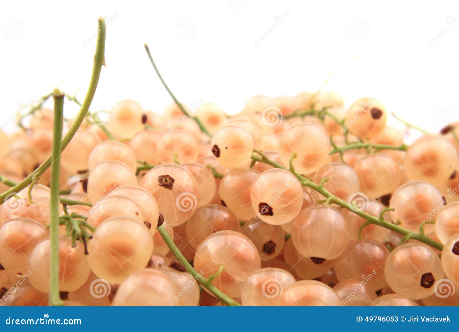White currant stock image. Image of floral, healthy, yellow - 49796053